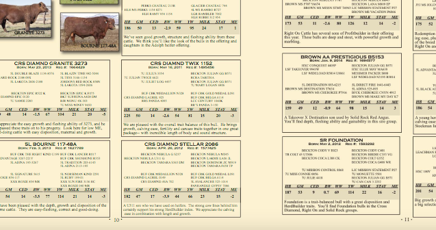 Predicting a stronger cattle industry | TSLN.com