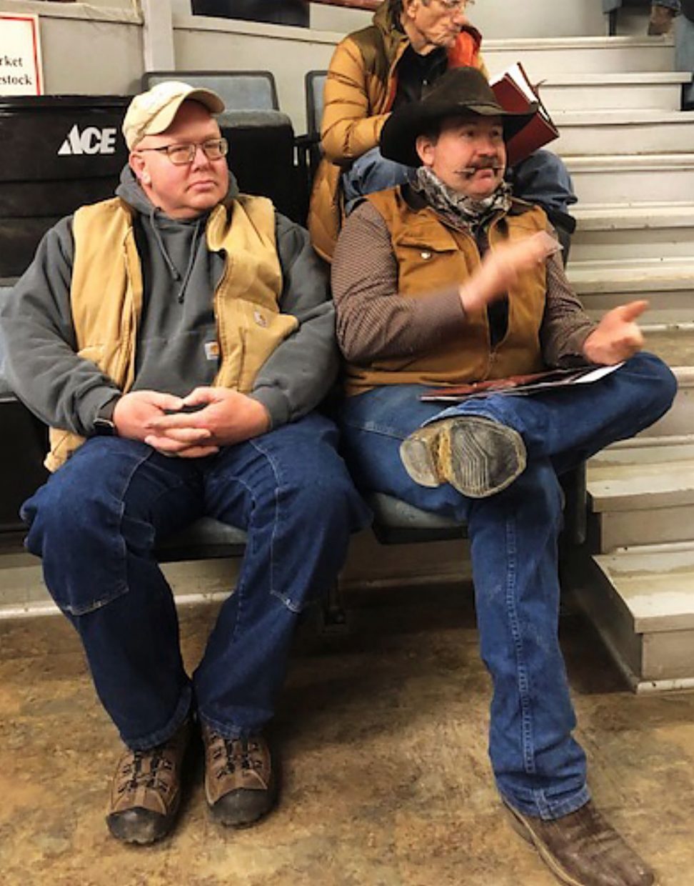 Rafter T Angus Annual Bull Sale | TSLN.com