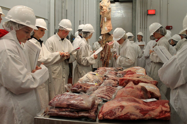 Winter Cattle Journal 2019: Nebraska Symposium gives youth an in-depth ...