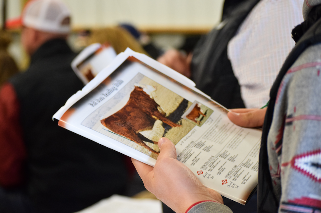 11 Tips for the Best Livestock Sale Catalog Possible | TSLN.com