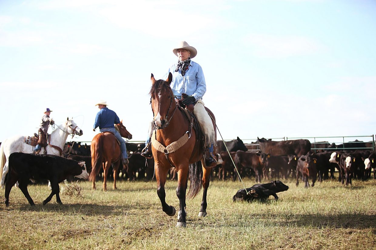 SDQHA honoree: Weishaar family raises, rides, promotes and auctions ...