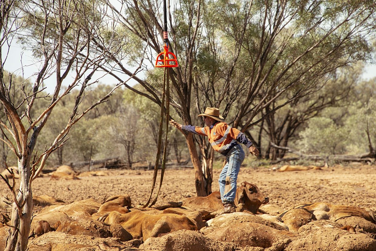Apocalyptic: The Northern Queensland Flood of 2019 | TSLN.com