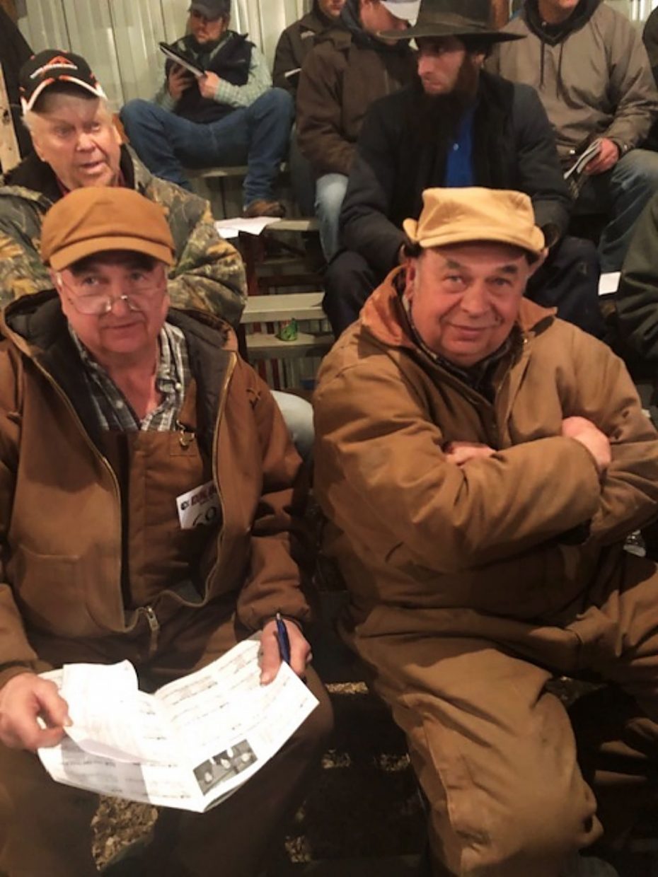 Sale Report: Koupal Angus 42nd Annual Bull Sale | TSLN.com