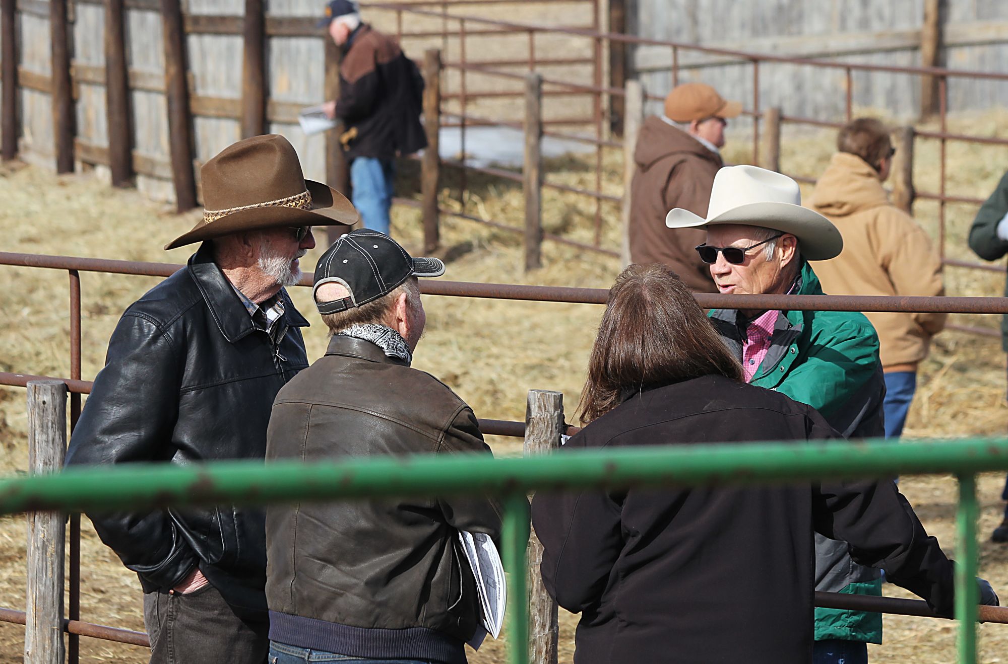Ridder Herefords Annual Bull and Heifer Sale | TSLN.com