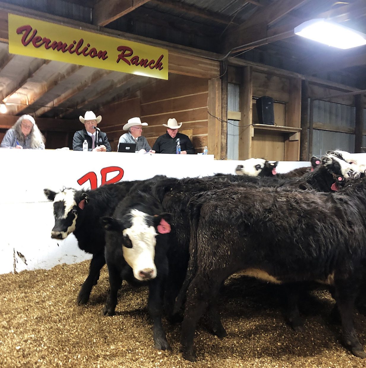 Vermilion Ranch Spring Performance Bull Sale | TSLN.com