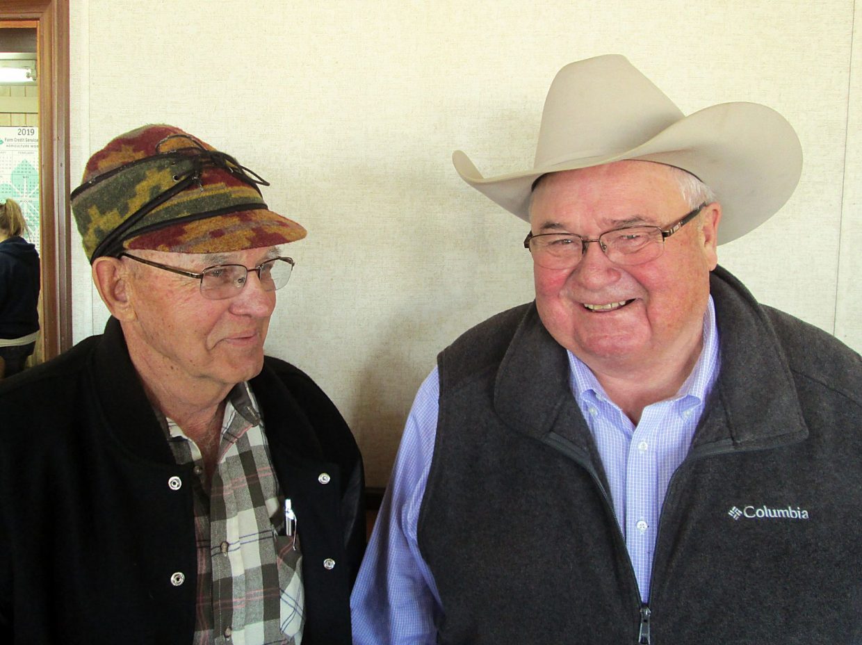 Lensegrav Ranch Hybrid Vigor Bull Sale | TSLN.com