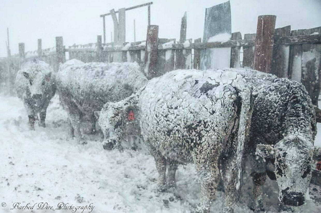 PHOTOS: March Spring Storm in Midwest Causing Major, Ongoing Issues for ...