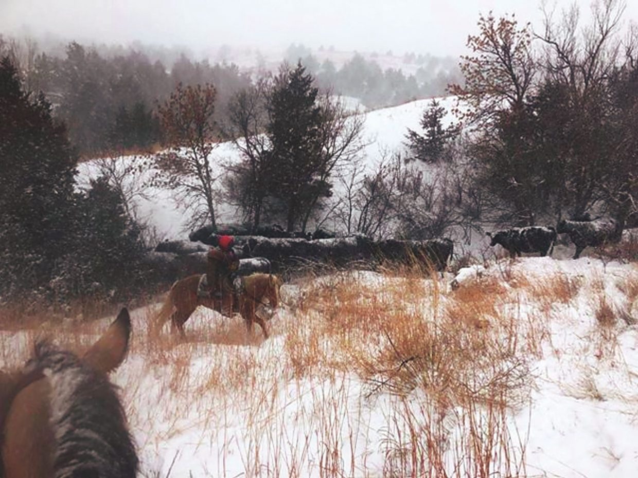 PHOTOS: March Spring Storm in Midwest Causing Major, Ongoing Issues for ...