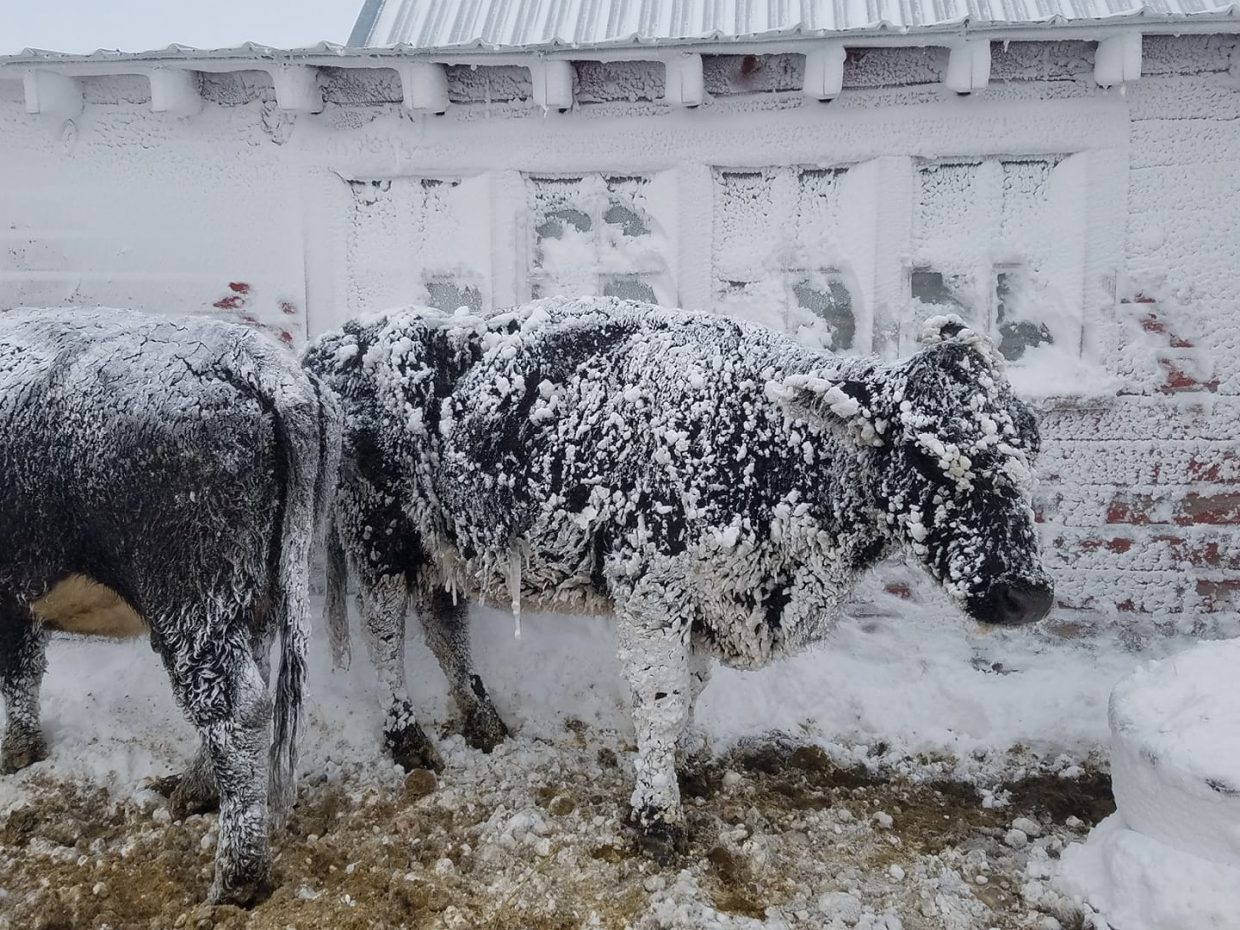 PHOTOS: March Spring Storm in Midwest Causing Major, Ongoing Issues for ...