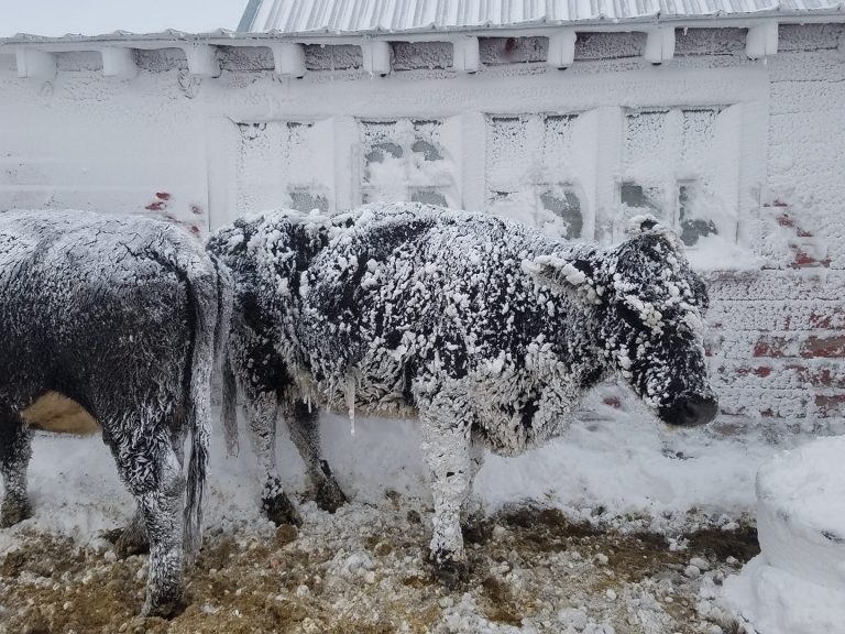 PHOTOS: March Spring Storm in Midwest Causing Major, Ongoing Issues for ...