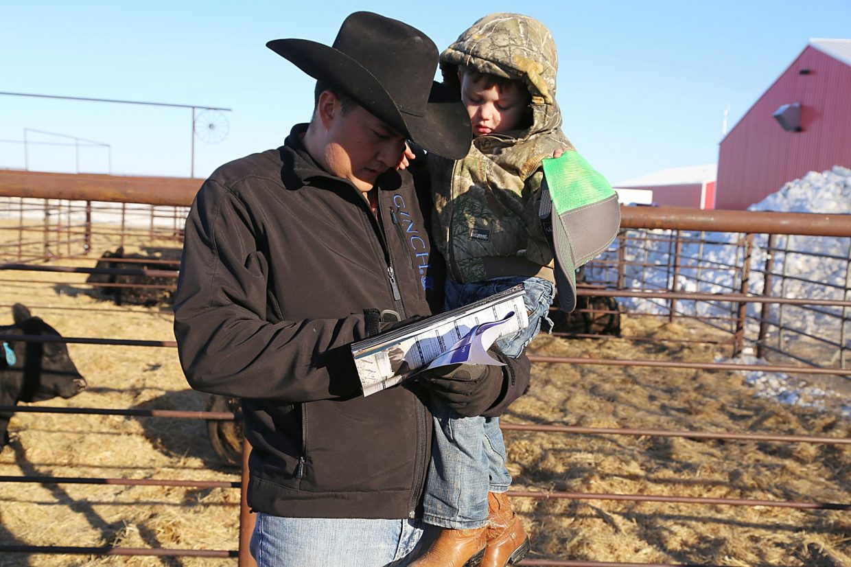 Millar Angus Annual Bull Sale | TSLN.com