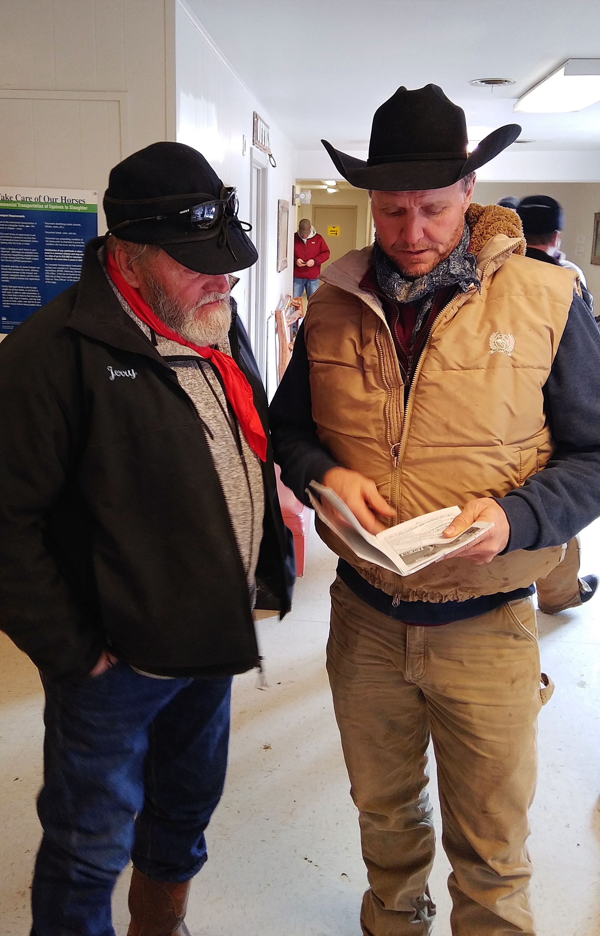 Stout Charolais Ranch 40th Annual Production Sale | TSLN.com