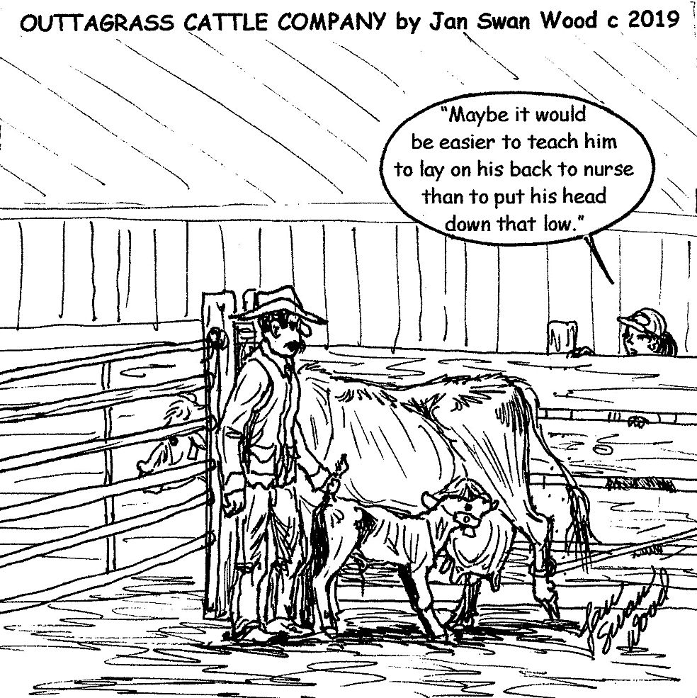 Outtagrass Cattle Co. Cartoon by Jan Swan Wood | TSLN.com