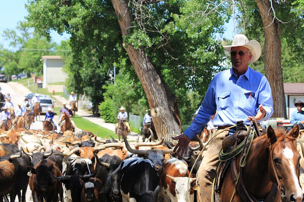 Black Hills Roundup Cattle Drive a success | TSLN.com