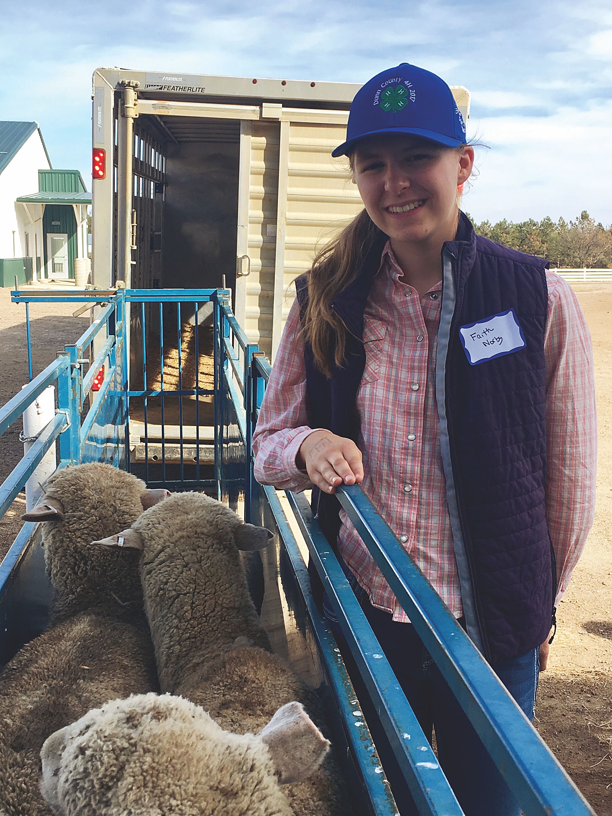 Youth Sheep Starter Flock Program seeking applicants | TSLN.com
