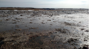 NRCS Offers more than $200 Million in Emergency Funding to Restore ...