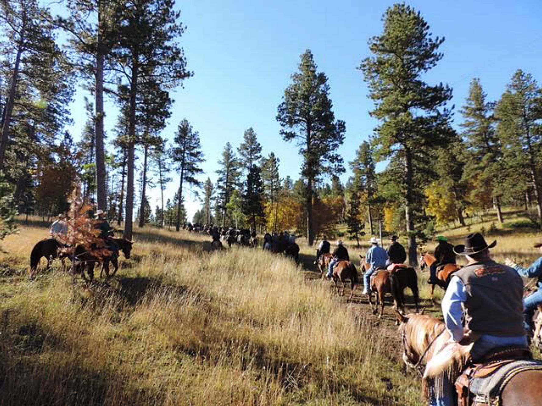 Buckaroos build connections and futures | TSLN.com