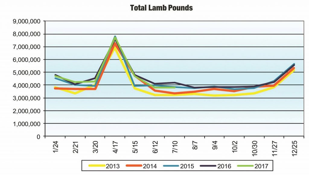 Out-of-Season-lambing, profit opportunities? | TSLN.com