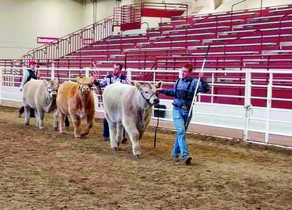 Nebraska’s teenage O’Dea brothers run cattle-related businesses | TSLN.com