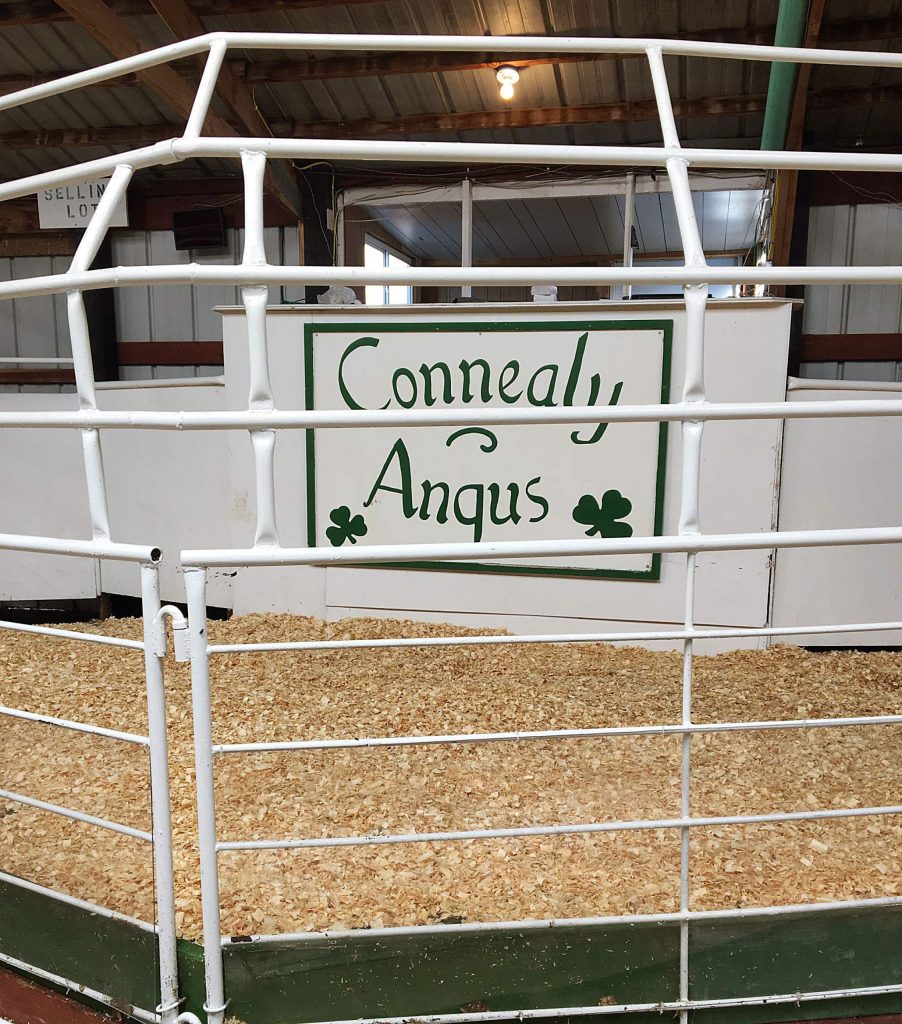 Connealy Angus Ranch | TSLN.com