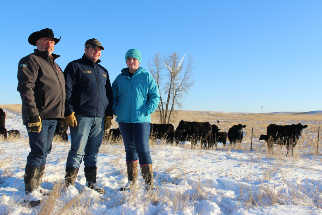Winter Cattle Journal 2020: Bigger is better for Urlacher Angus | TSLN.com