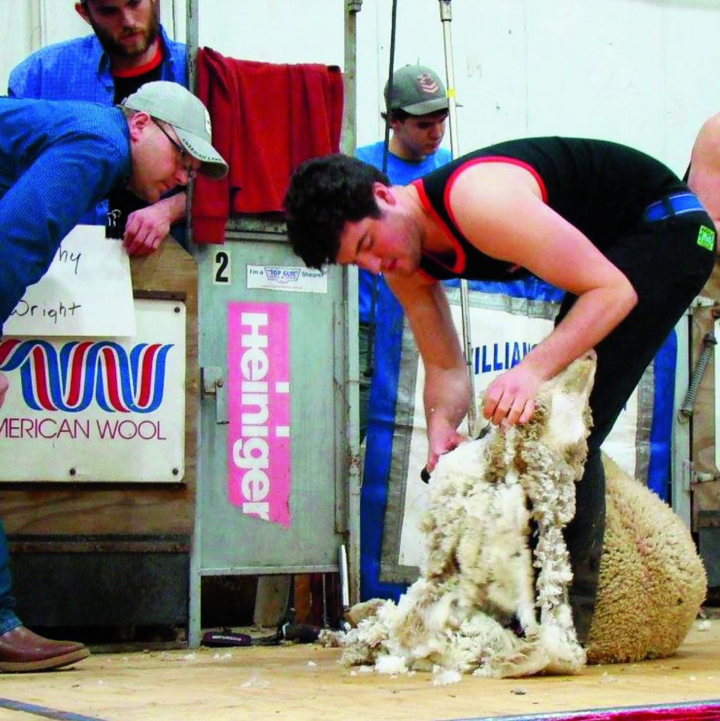 Save the Date to attend the All American Sheep Day! | TSLN.com