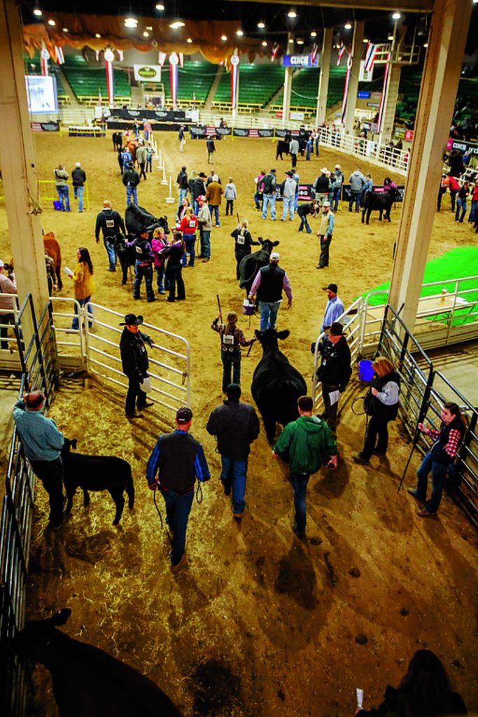 NWSS kicks off with sunshine in the yards | TSLN.com
