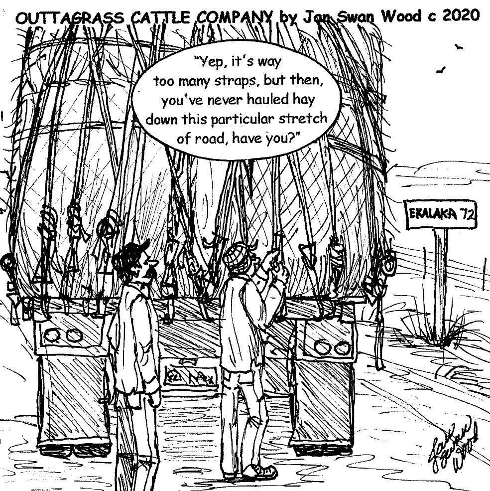 Outtagrass Cattle Co. cartoon by Jan Swan Wood | TSLN.com