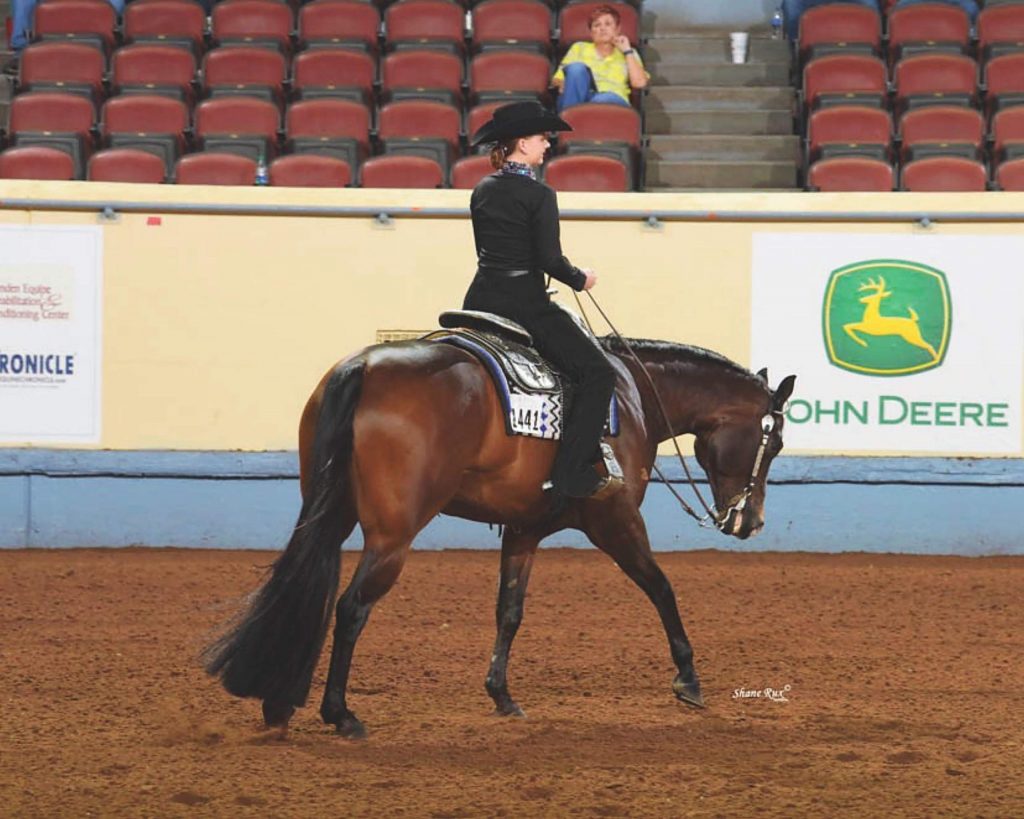 AQHA approves Zimeta | TSLN.com