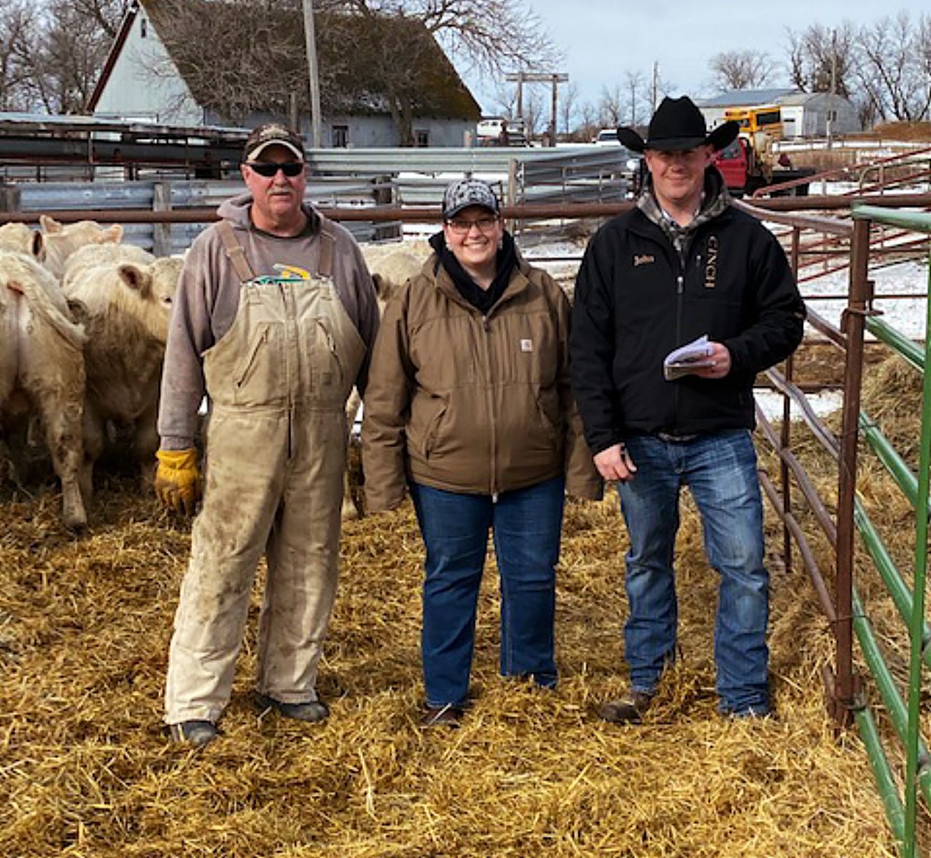 Soreide Charolais Ranch | TSLN.com