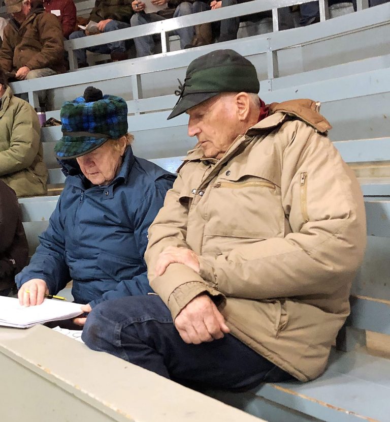 Miske Angus Ranch Annual Production Sale | TSLN.com