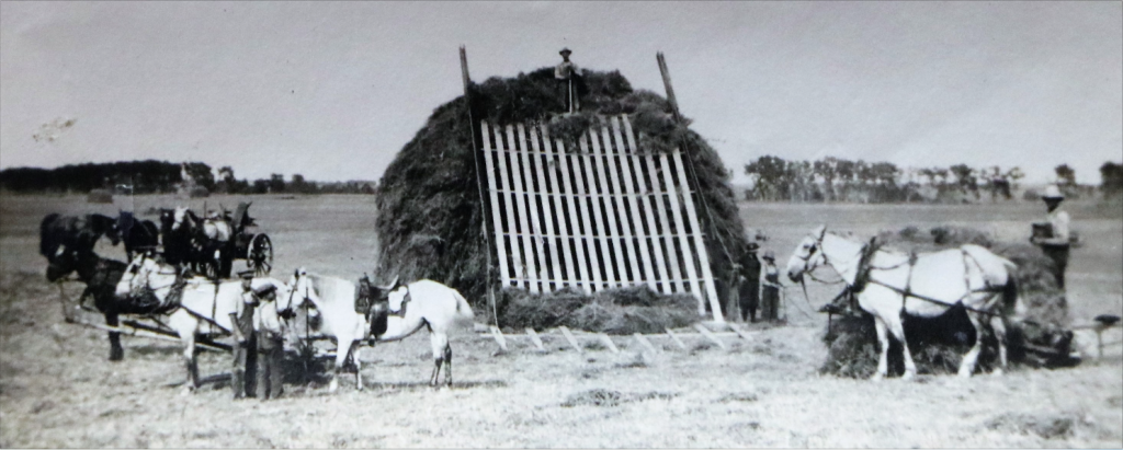 Forage: History repeats itself: 90-year old slide stacker is back in ...