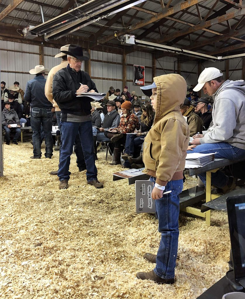 Reyes Russell 29th Annual Angus Bull Sale | TSLN.com