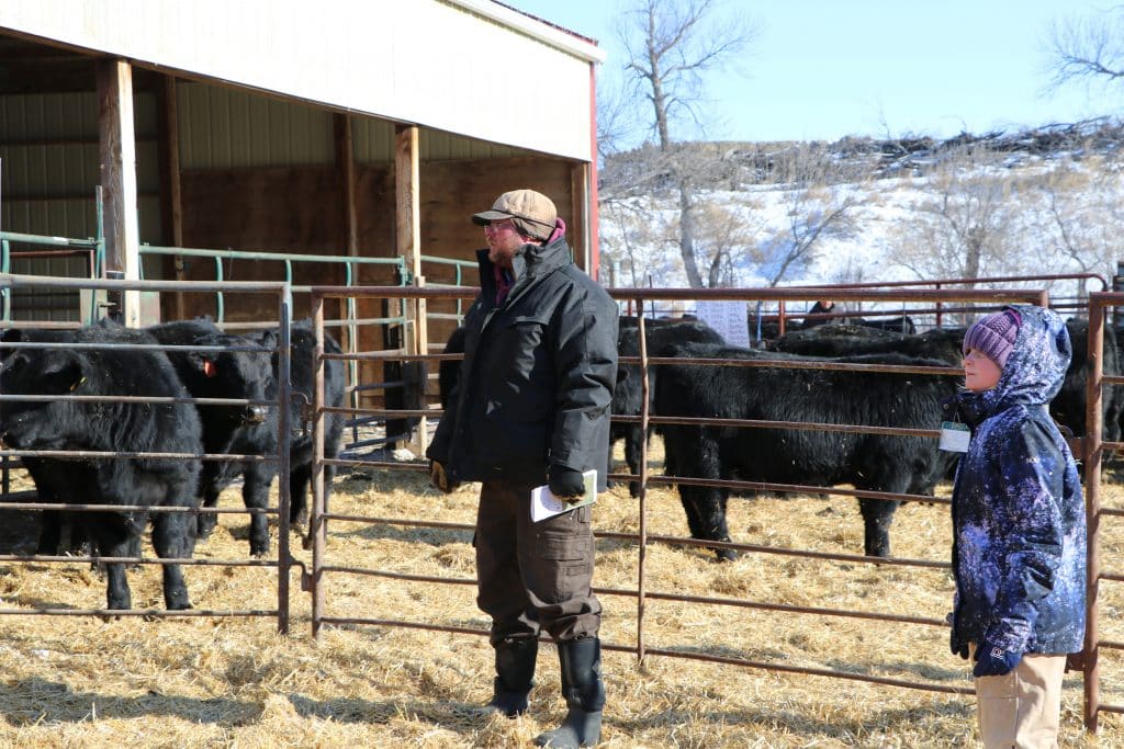 Ingalls Centennial Angus and Turtle Creek Angus Bull Sale | TSLN.com