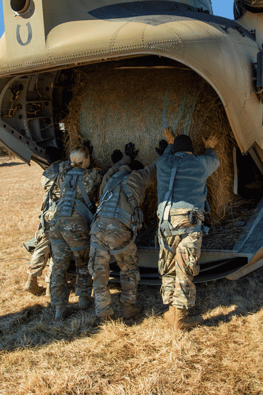 Chopped hay: Helicopters drop feed following flood | TSLN.com