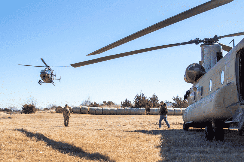 Chopped hay: Helicopters drop feed following flood | TSLN.com