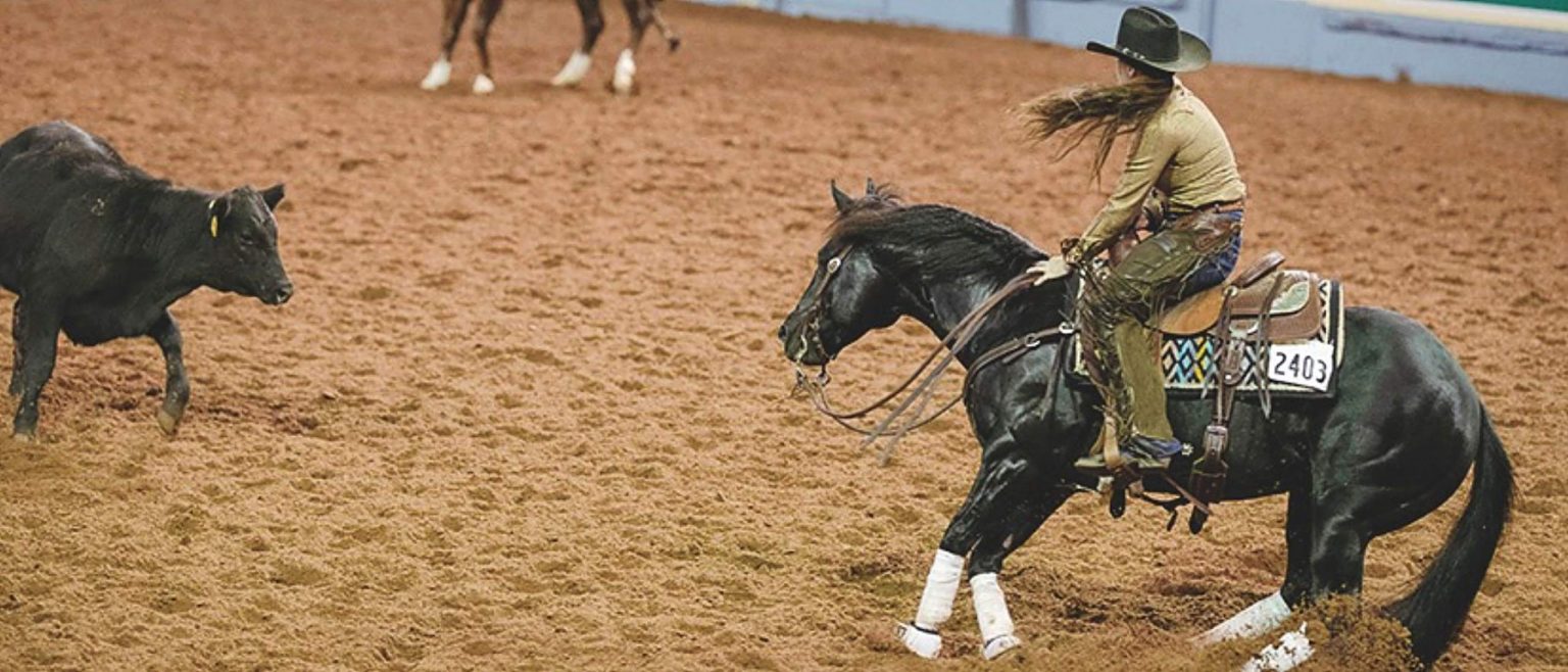 Cutting Horses: How to Get Started | TSLN.com