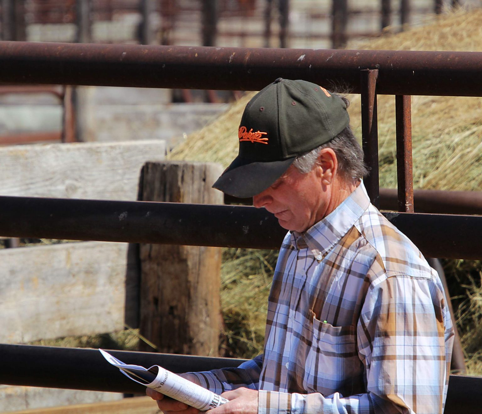 Miller Angus of Draper Annual Bull Sale | TSLN.com