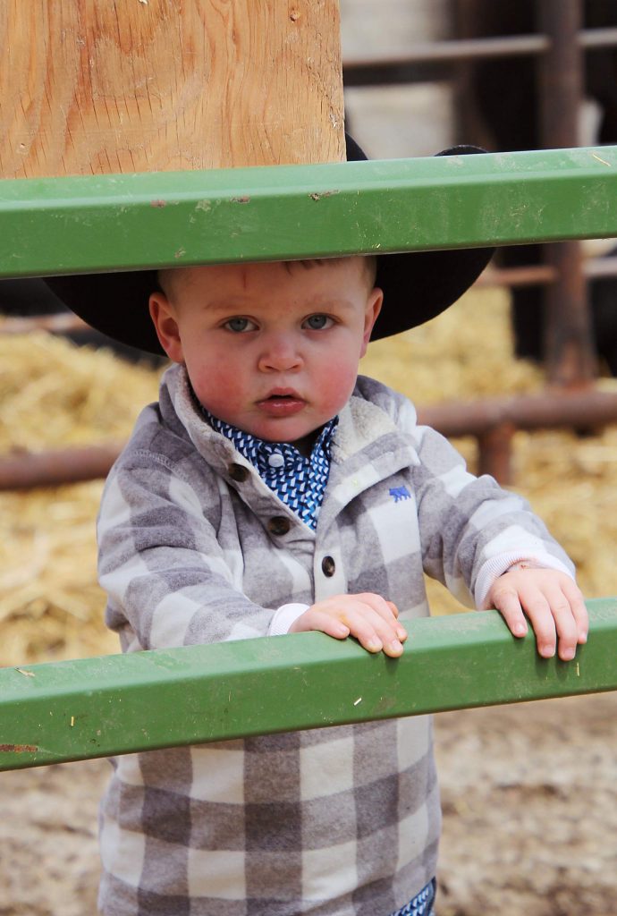 Lisco Angus & M Diamond Angus 28th Annual Bull Sale | TSLN.com