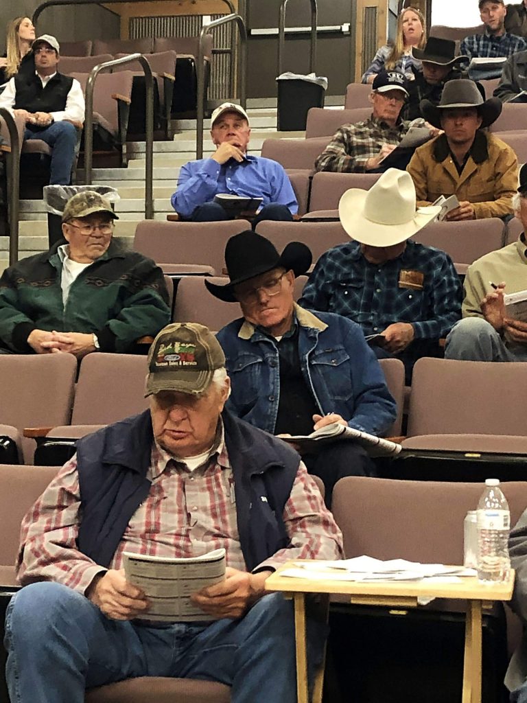 Currant Creek Angus Bull Sale | TSLN.com