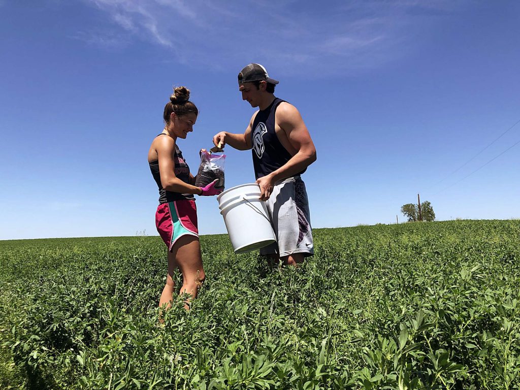 DSU, Mustang Seeds partner for agriculture research project | TSLN.com