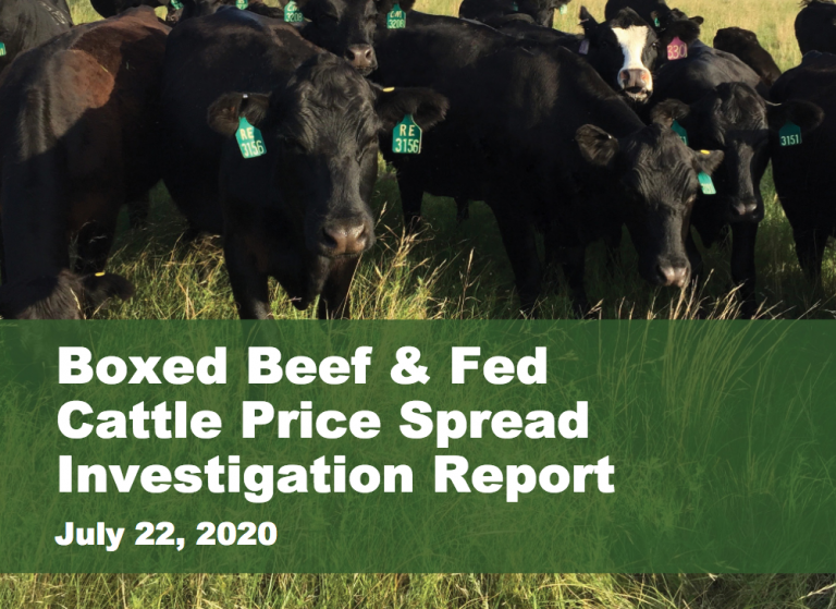 USDA publishes cattle and beef pricing report | TSLN.com