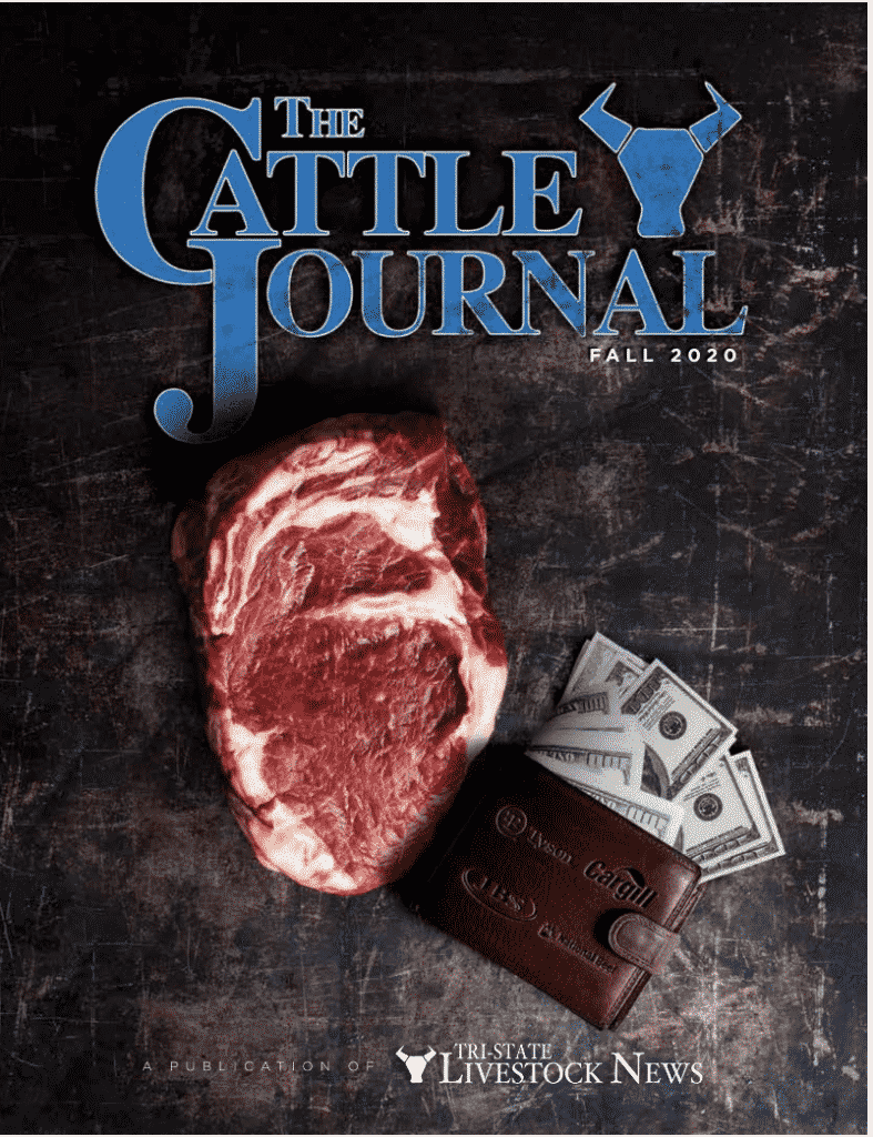 Fall Cattle Journal 2020 | TSLN.com
