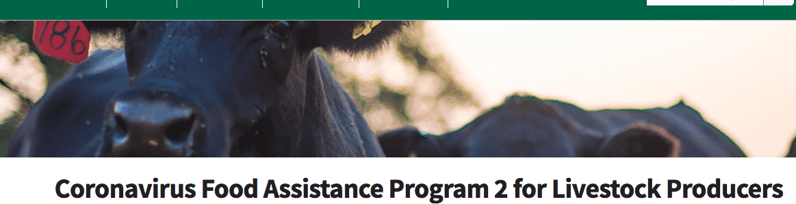 USDA announces details of CFAP 2 assistance | TSLN.com