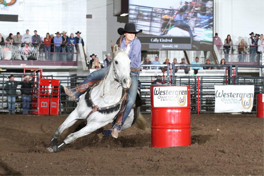 KING OF THE RODEOS: Badlands Circuit Finals is on for this weekend ...