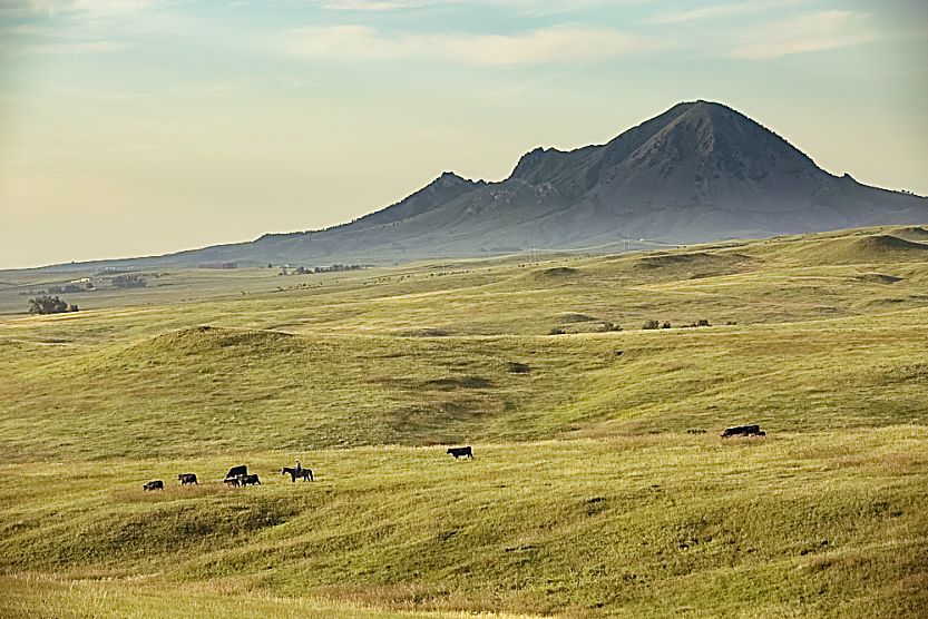 Water key to Blair Brothers’ success: Leopold Award Winners share ...