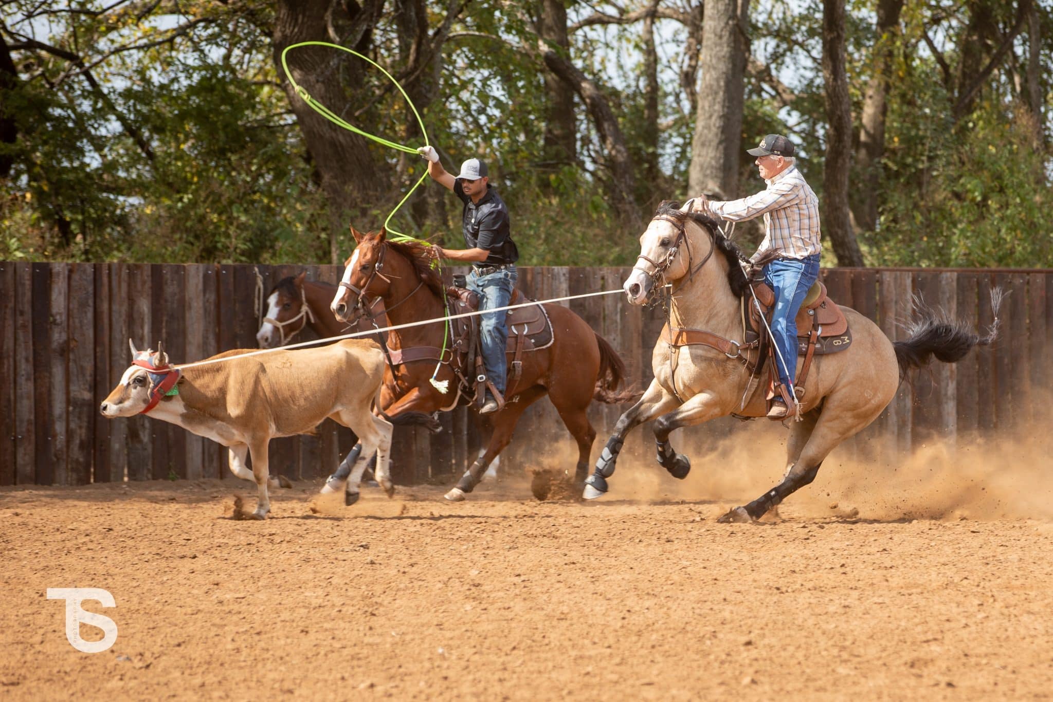 Stallion Showcase: The Making of a Wonder Horse: Lucky Wonder Horse ...