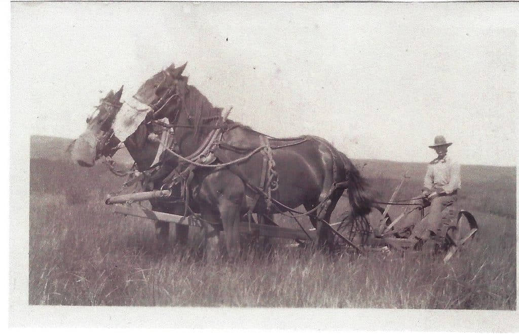 Forage 2022: A Brief History of Haying | TSLN.com