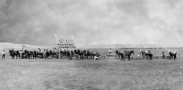 Forage 2022: A Brief History of Haying | TSLN.com