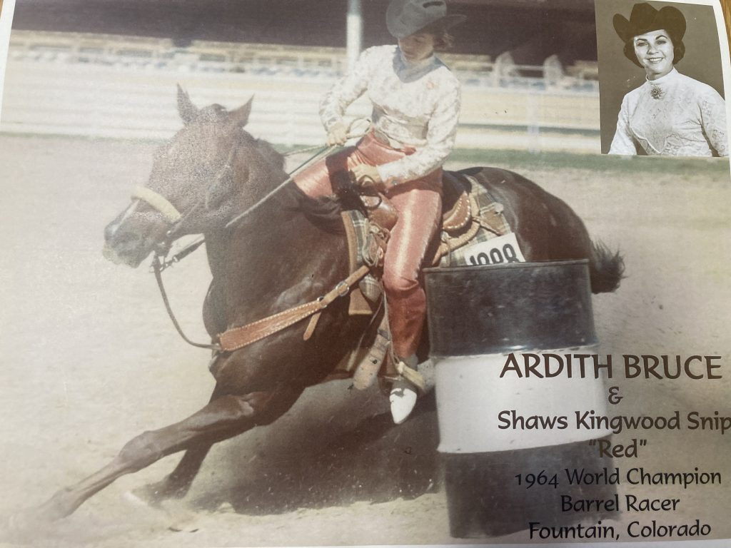Horse Roundup 2022: Ardith Bruce: The Life and Legacy of a Horsewoman ...